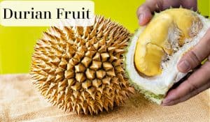Durian vs Jackfruit: Illustrative Guide to Differences & Similarities ...