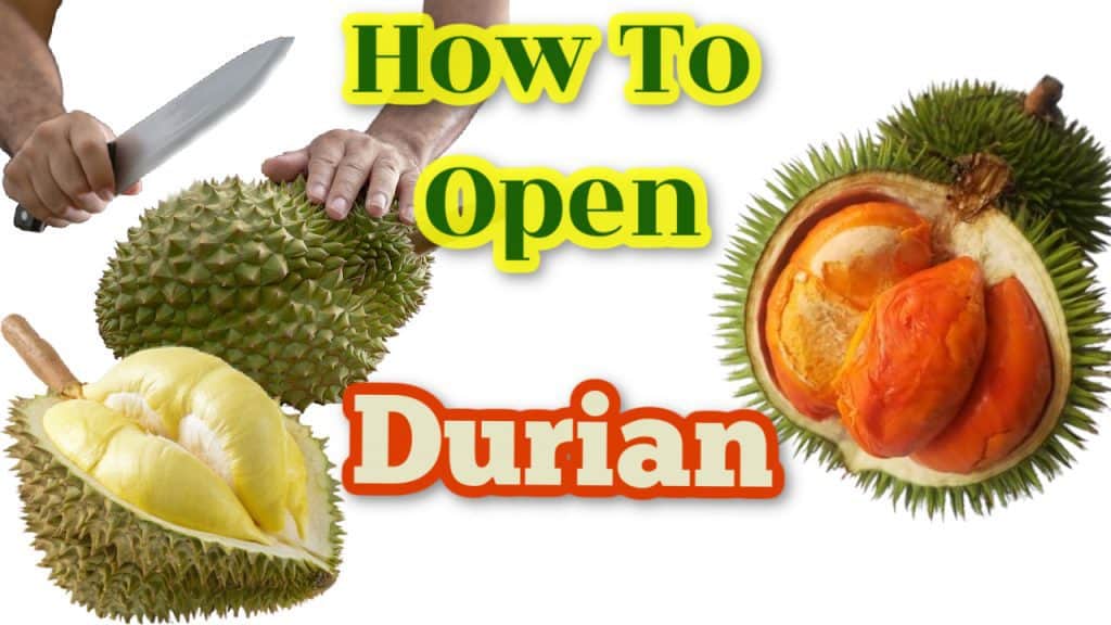 How To Cut Open & Eat Durian – Video Guide – Fruitinformation.com