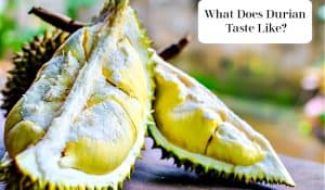 What Does Durian Taste Like? Top 3 Best Tasting Durian – Fruitinformation.com