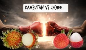 Are Rambutan and Lychee The Same? Rambutan vs Lychee – Fruitinformation.com