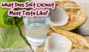 Why is Coconut Meat Hard or Soft? What’s the Difference ...