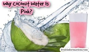 Why Coconut Water Is Pink? Is It Safe & How To Prevent It Happening ...