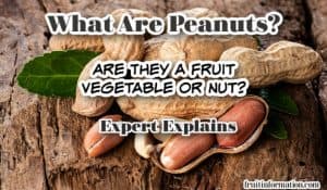 Are Peanuts Fruit, Vegetable or Nut: Expert Explains – Fruitinformation.com